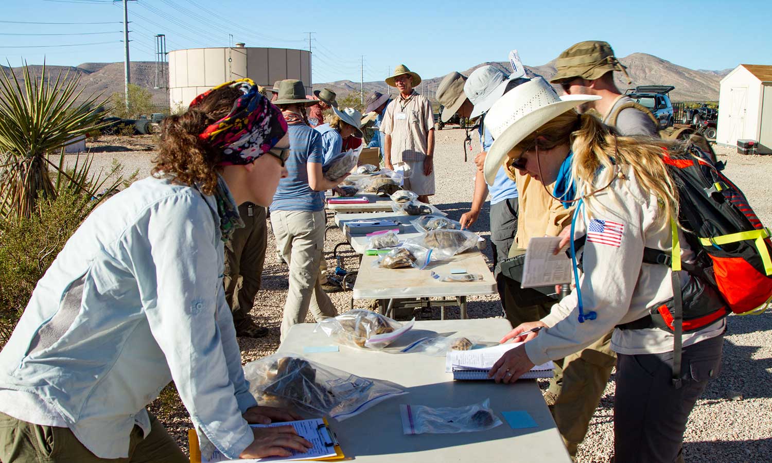 Home - Desert Tortoise Council